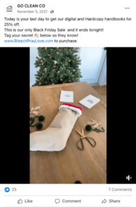 Cleaning Service Advertisement Examples to Inspire You